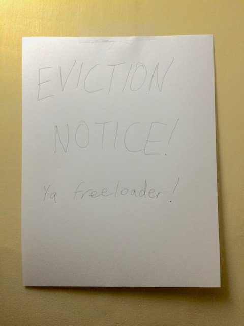 The Eviction Notice – Luna, the Little Chomper